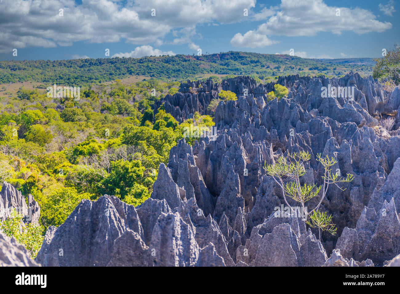 Tsingy de Bemaraha National Park, Madagascar Stock Photo - Alamy