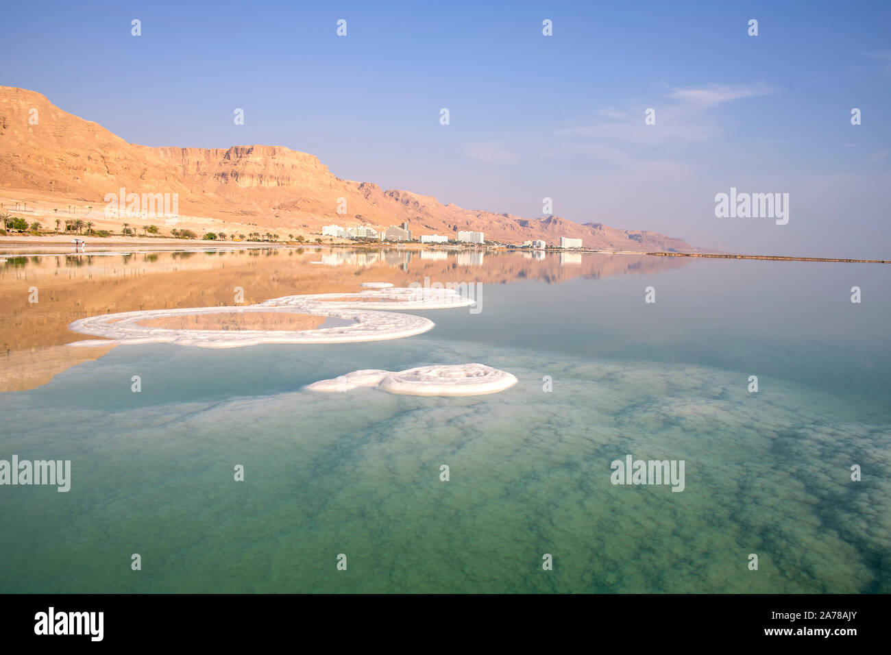 Reflection of mountains, hotels and palm trees in the water of the Dead ...