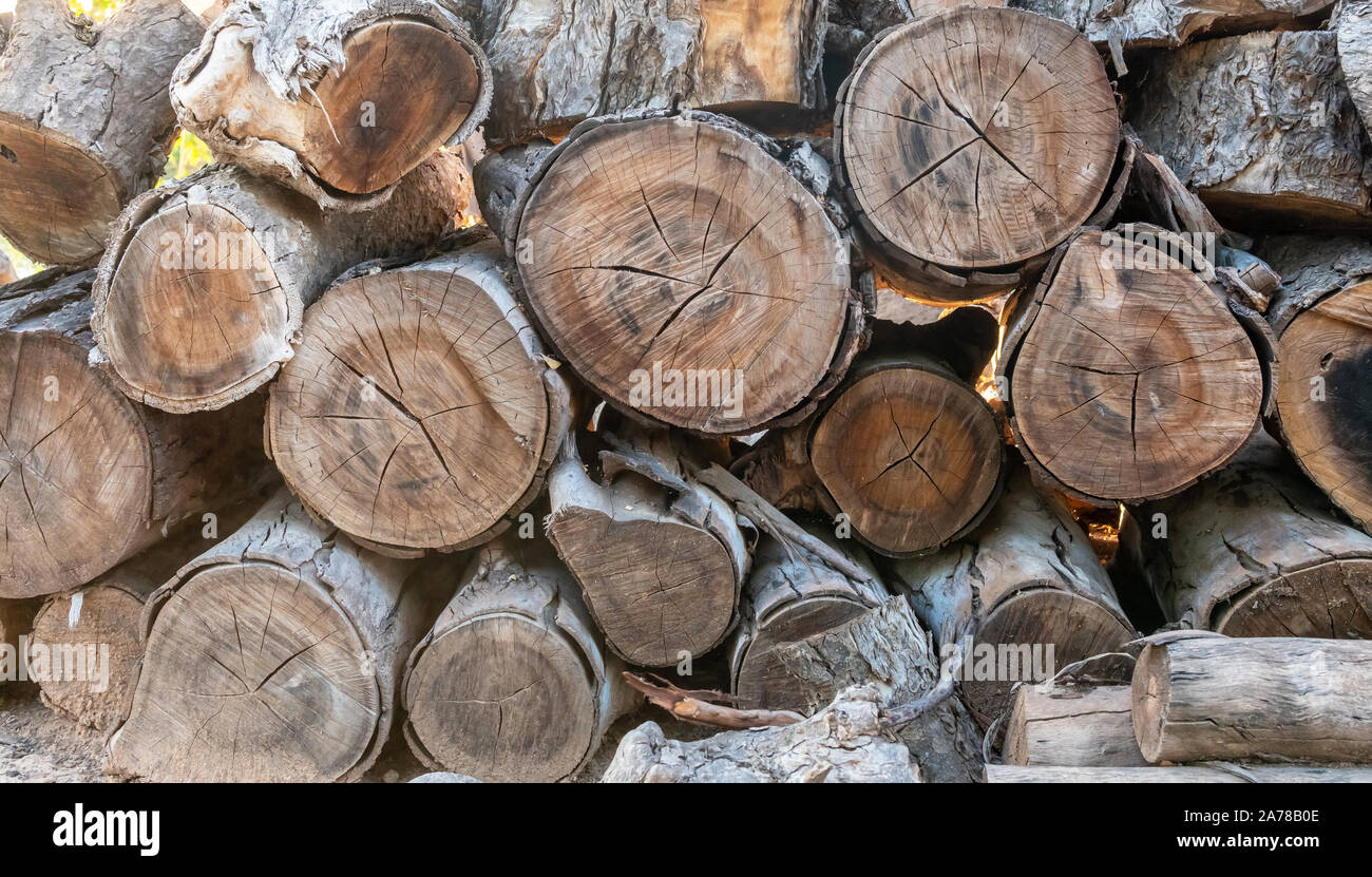 Wooden natural cut logs textured background Stock Photo - Alamy