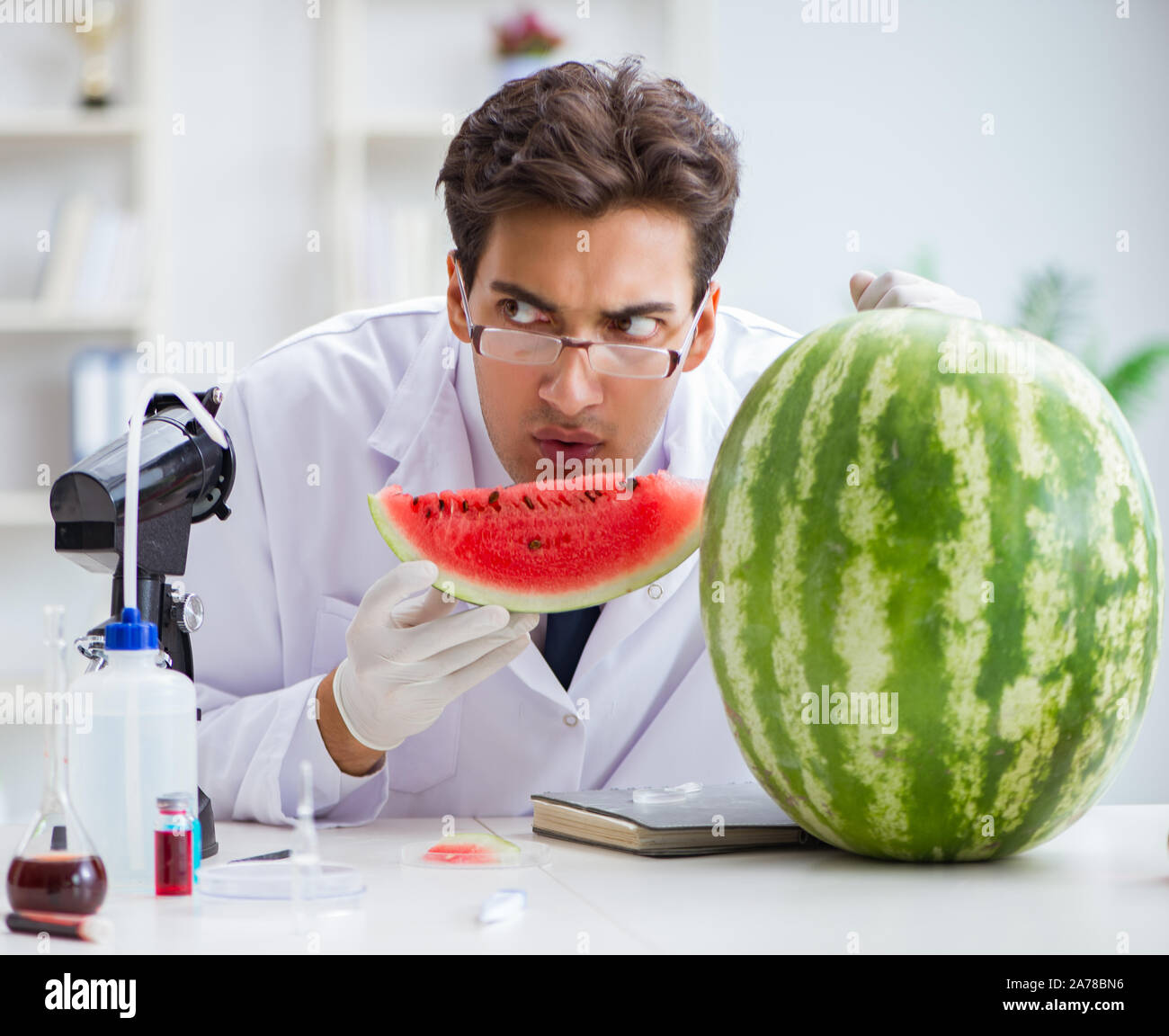 The scientist testing watermelon in lab Stock Photo - Alamy