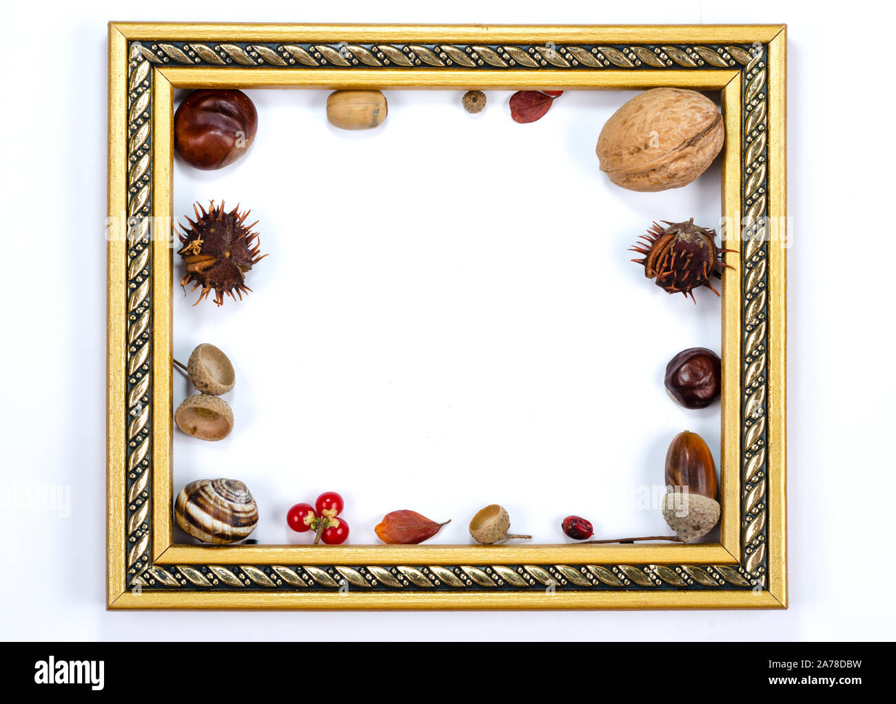 Autumn composition indoor on white background . Empty golden frame ...