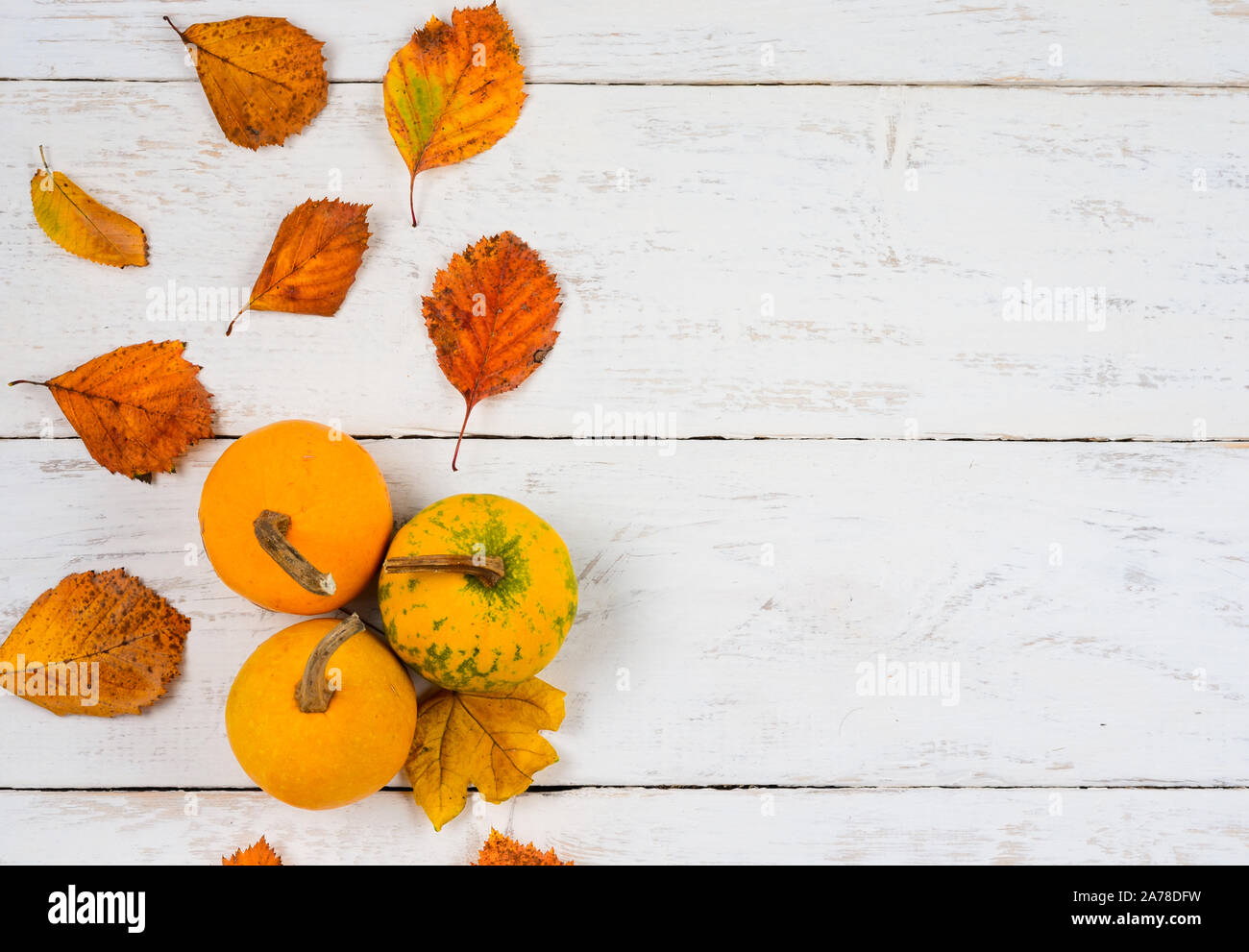 Autumn composition background. Yellow pumpkins and rusty leaves on ...