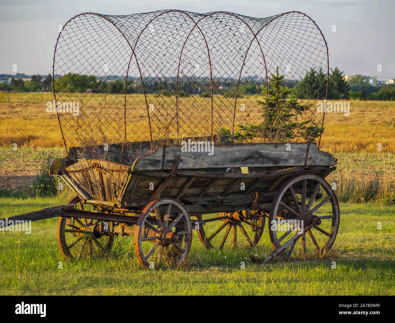 Old covered wagon on a meadow Stock Photo - Alamy