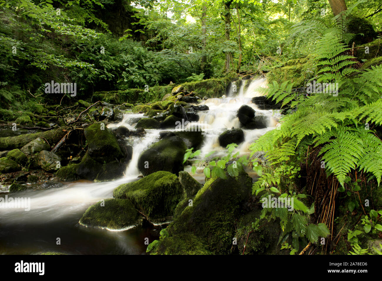 Yorkshire Dales Waterfall Stock Photo - Alamy
