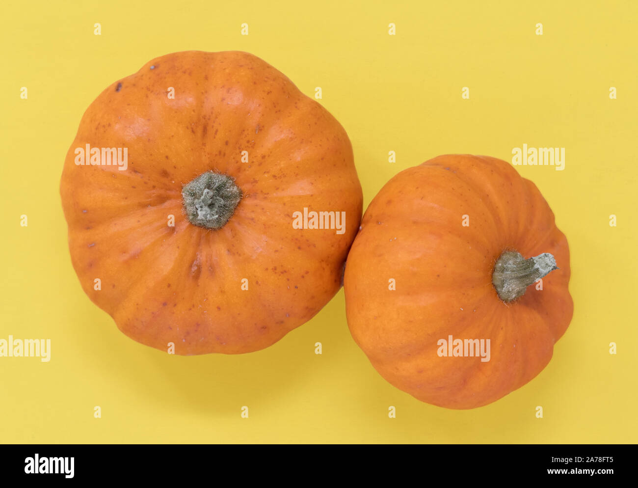 Two pumpkins isolated against a bright yellow background Stock Photo ...