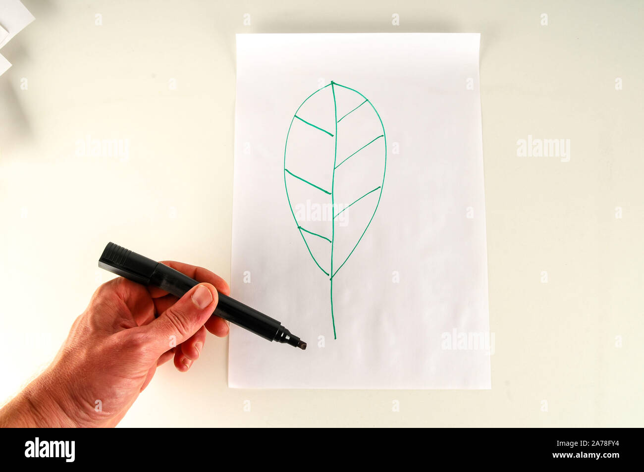 Close-up of sheet with drawing Object on a White Background Stock Photo ...