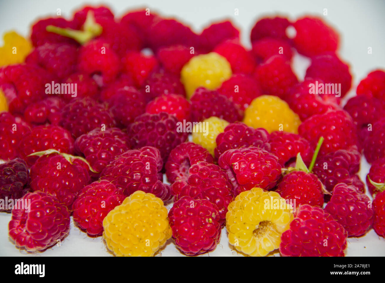yellow and red raspberries on a white background. It looks like a ...