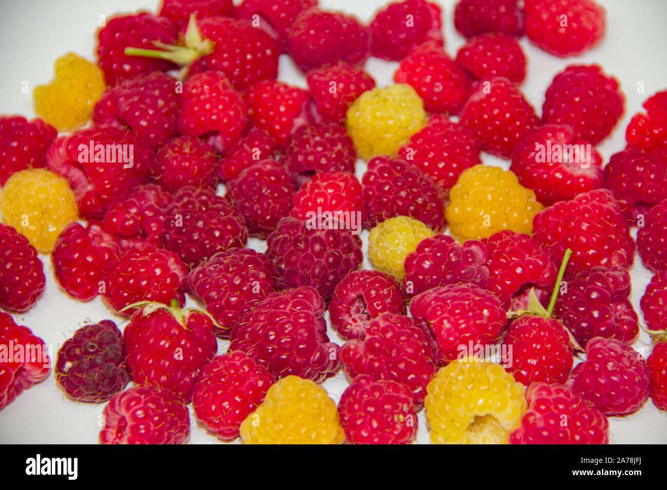 yellow and red raspberries on a white background. It looks like a ...