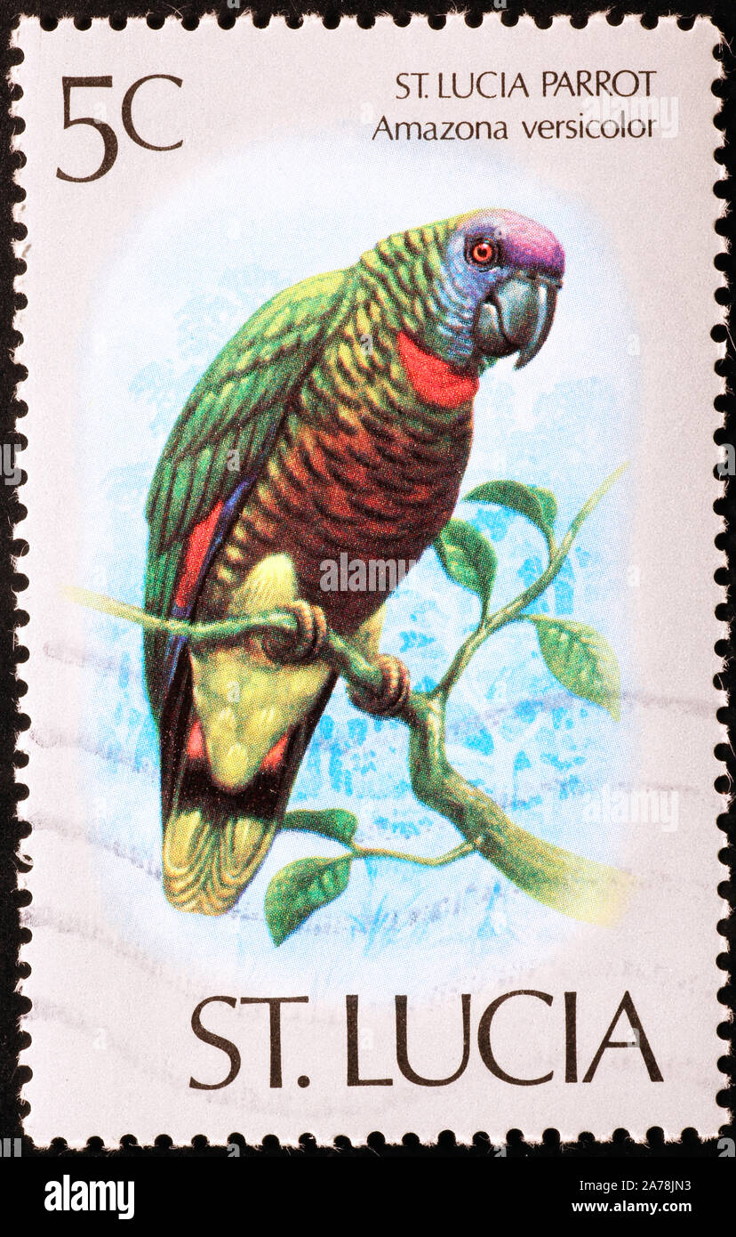 Saint Lucia parrot on postage stamp Stock Photo - Alamy