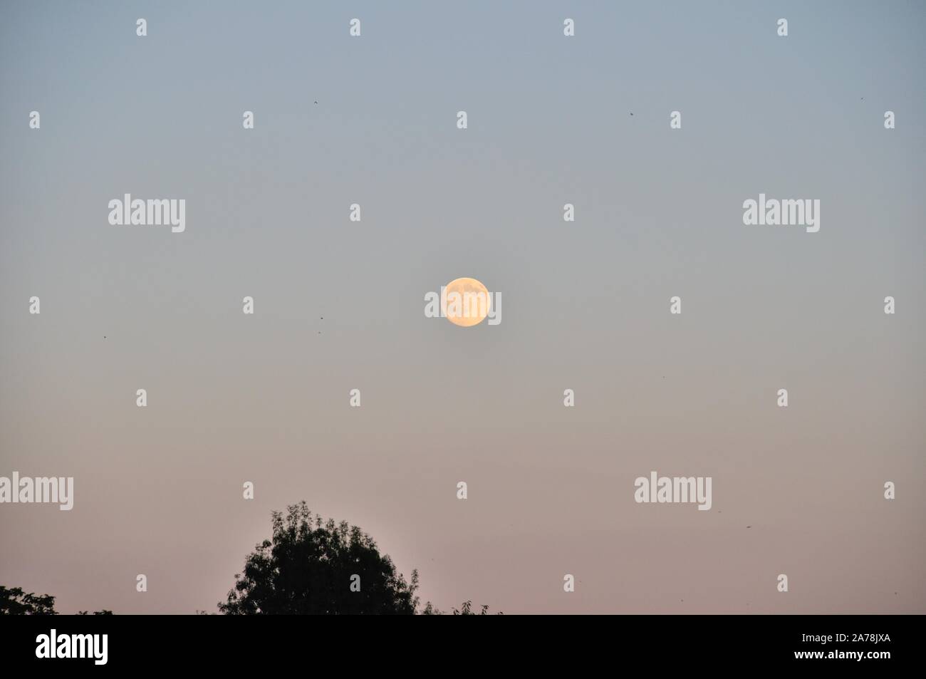 moon at dusk Stock Photo - Alamy