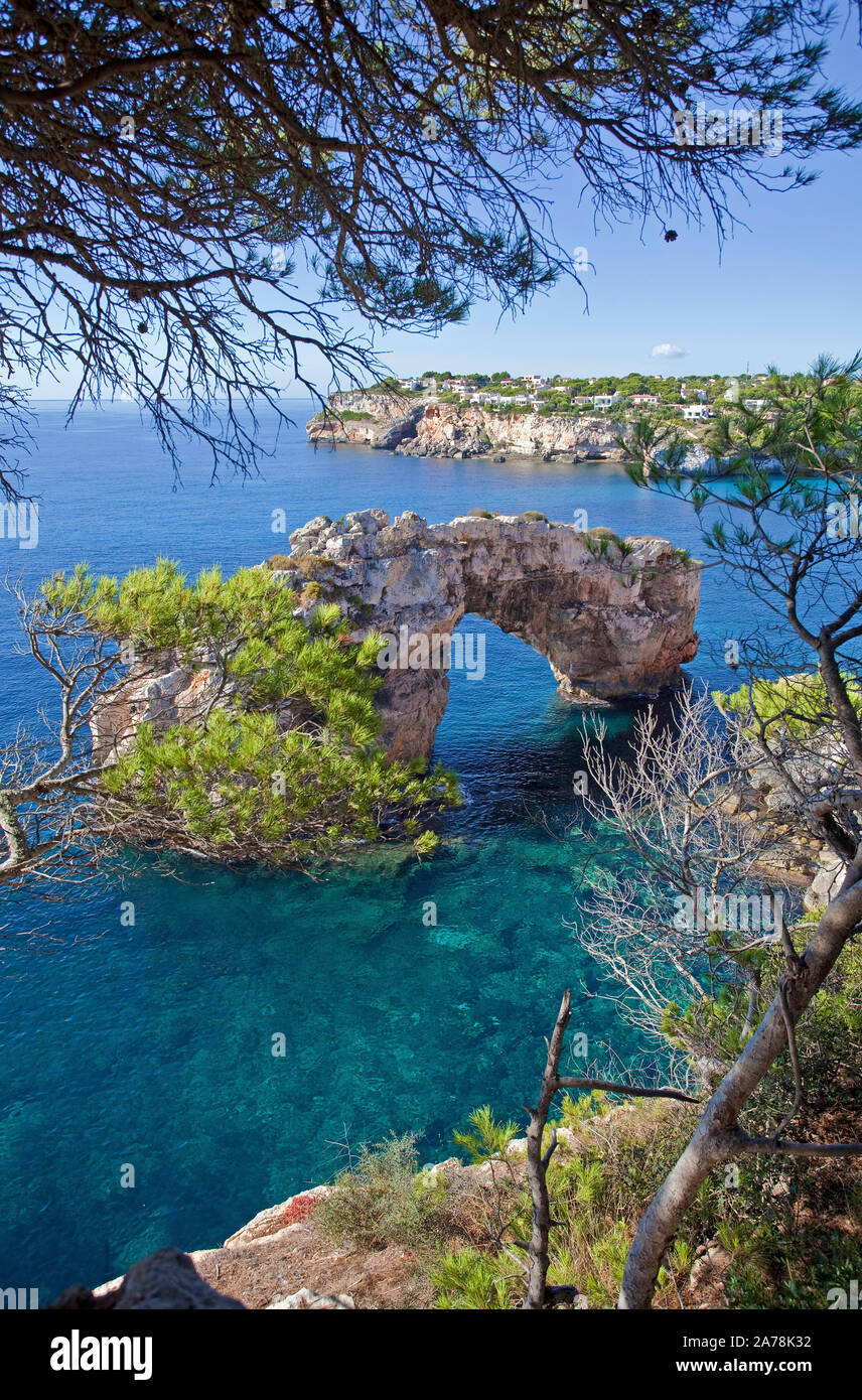 Es Pontas, natural arch at the rocky coastline, Cala Santanyi, Mallorca ...