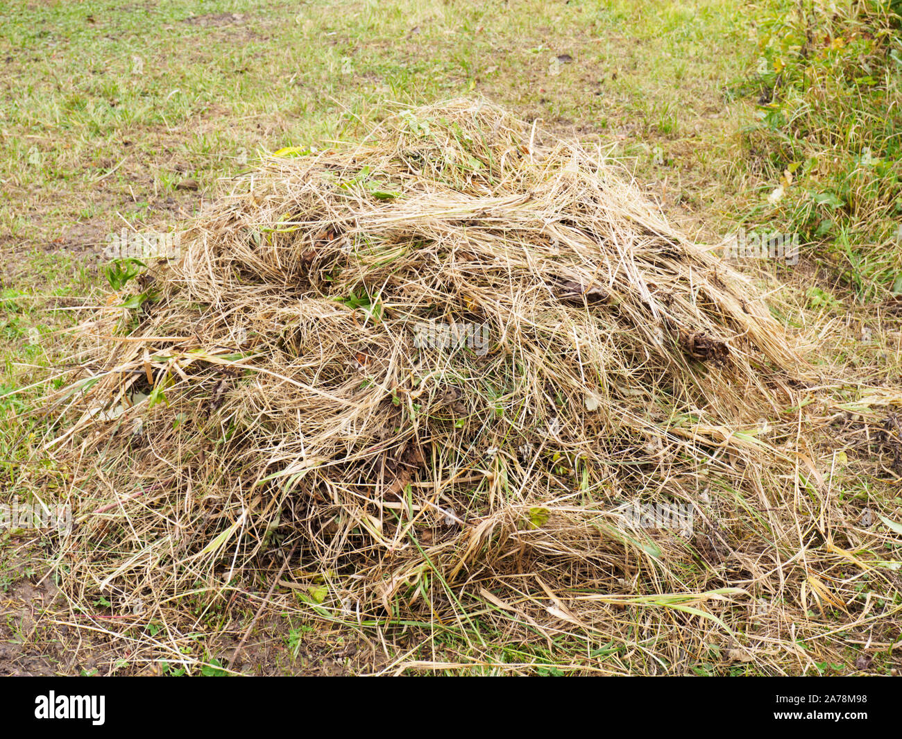 Village backdrop hi-res stock photography and images - Alamy