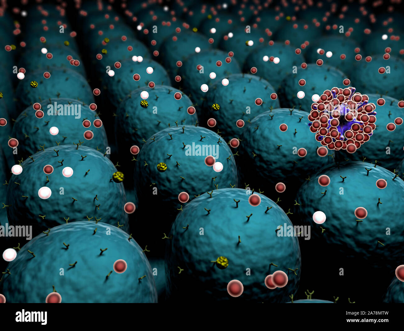 field of cells, field of cells with receptors, Human Immune System ...
