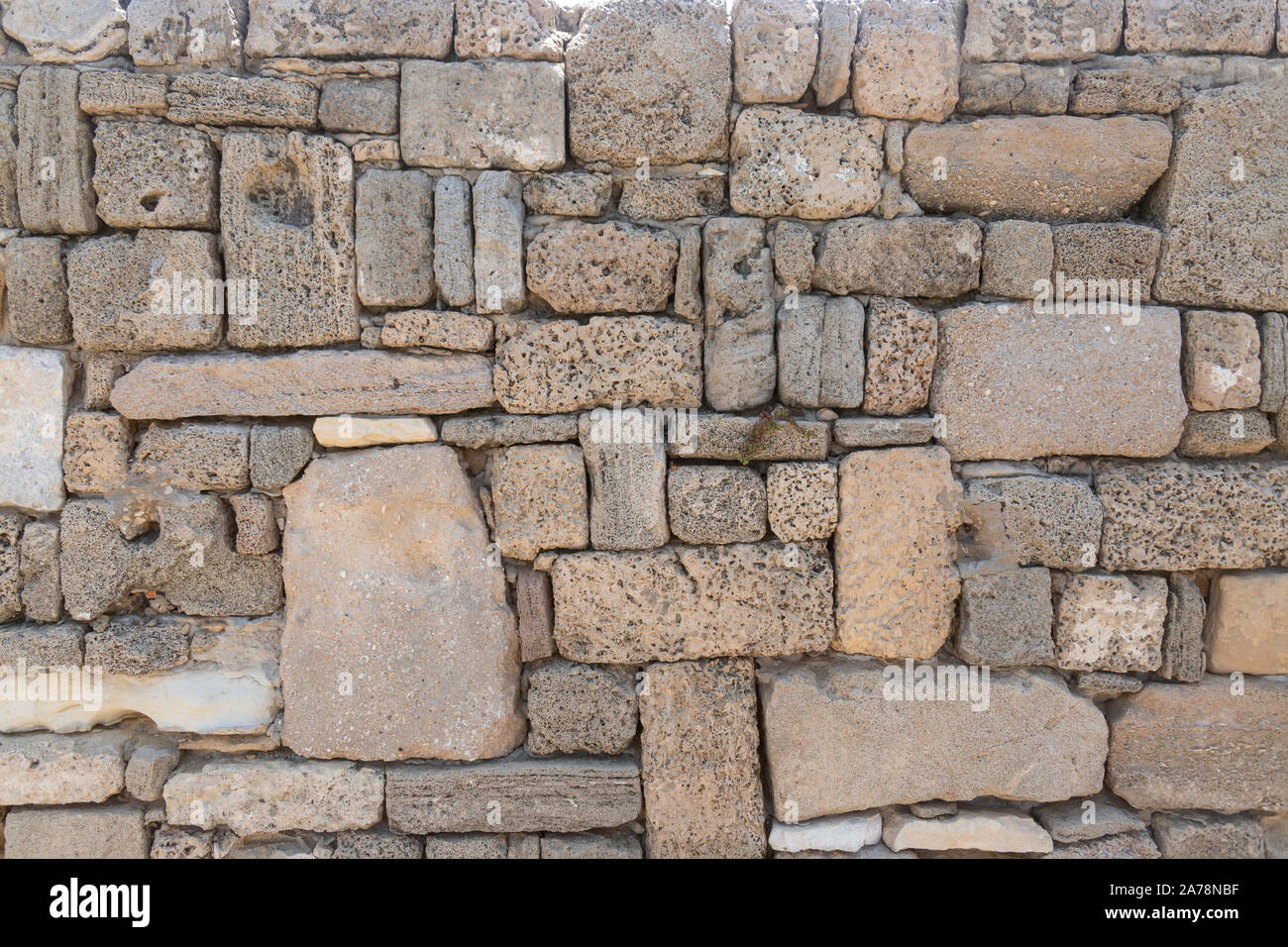 Masonry wall of shell rock stones. Israel Stock Photo - Alamy