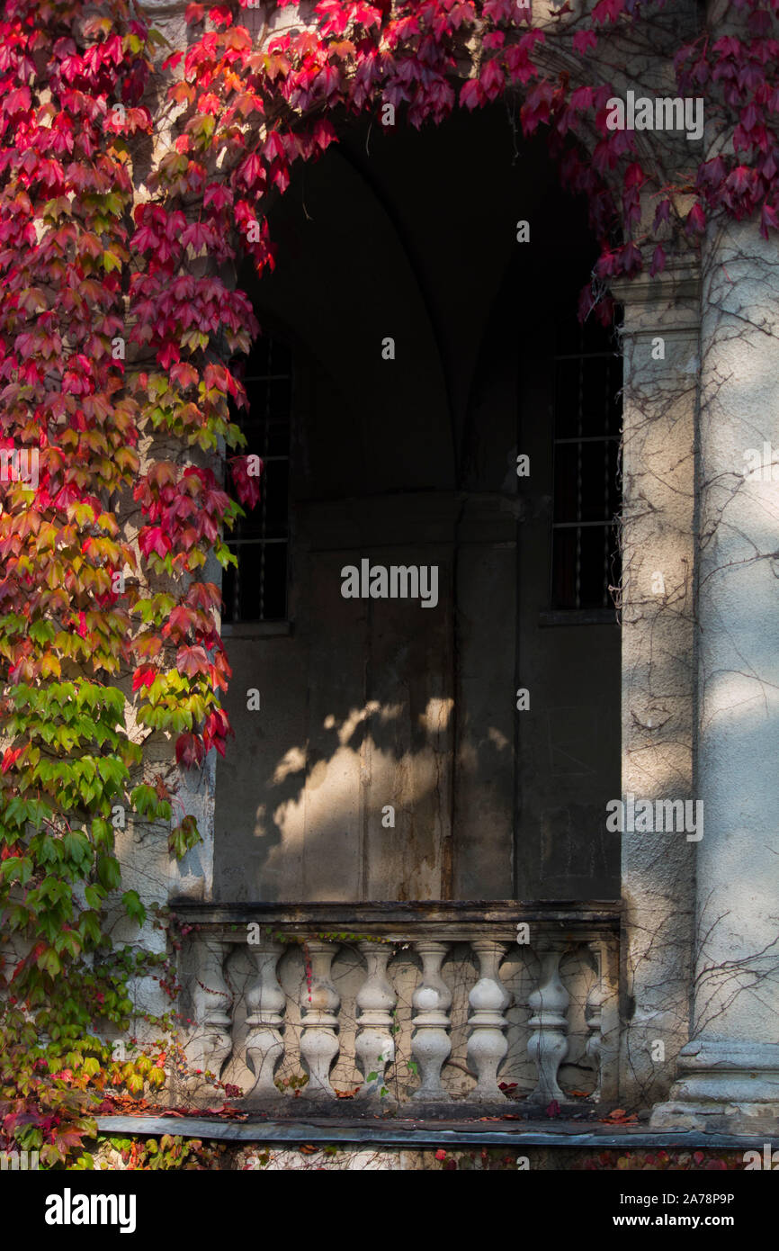 Ivy Covered Garden Gate High Resolution Stock Photography and Images ...
