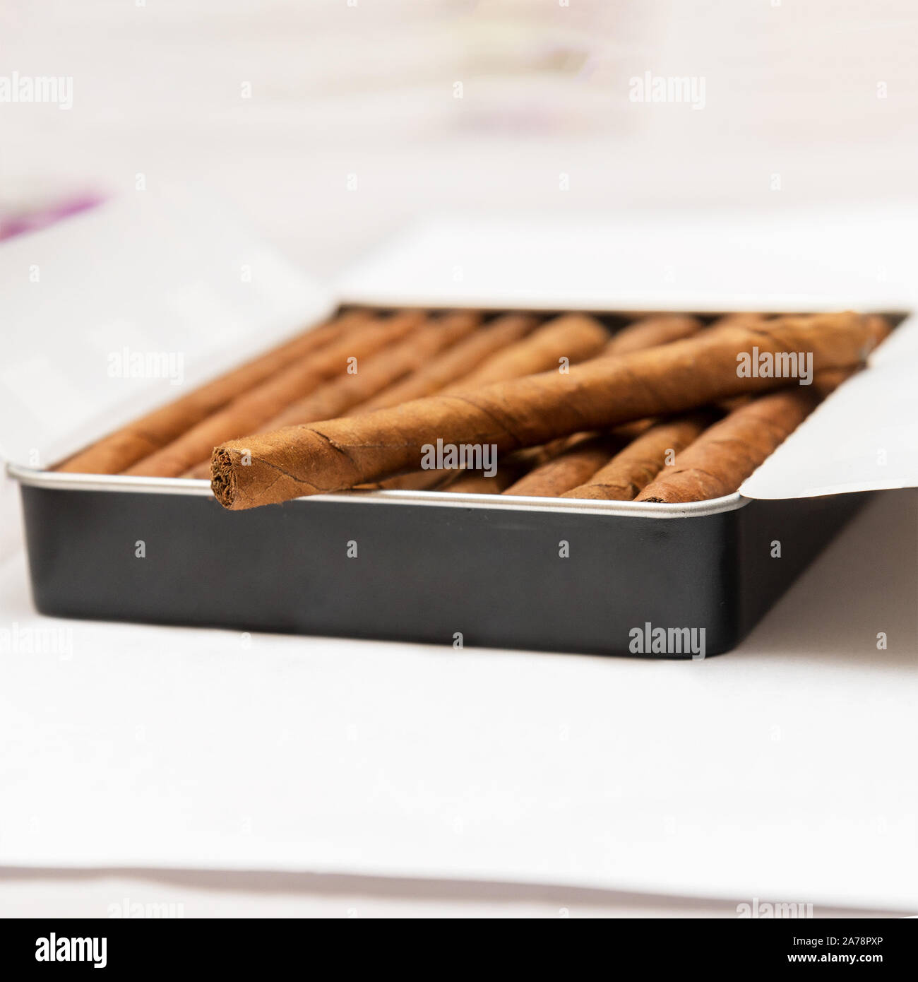 Box of cigarillos on a white background. On the box is one cigarillo ...