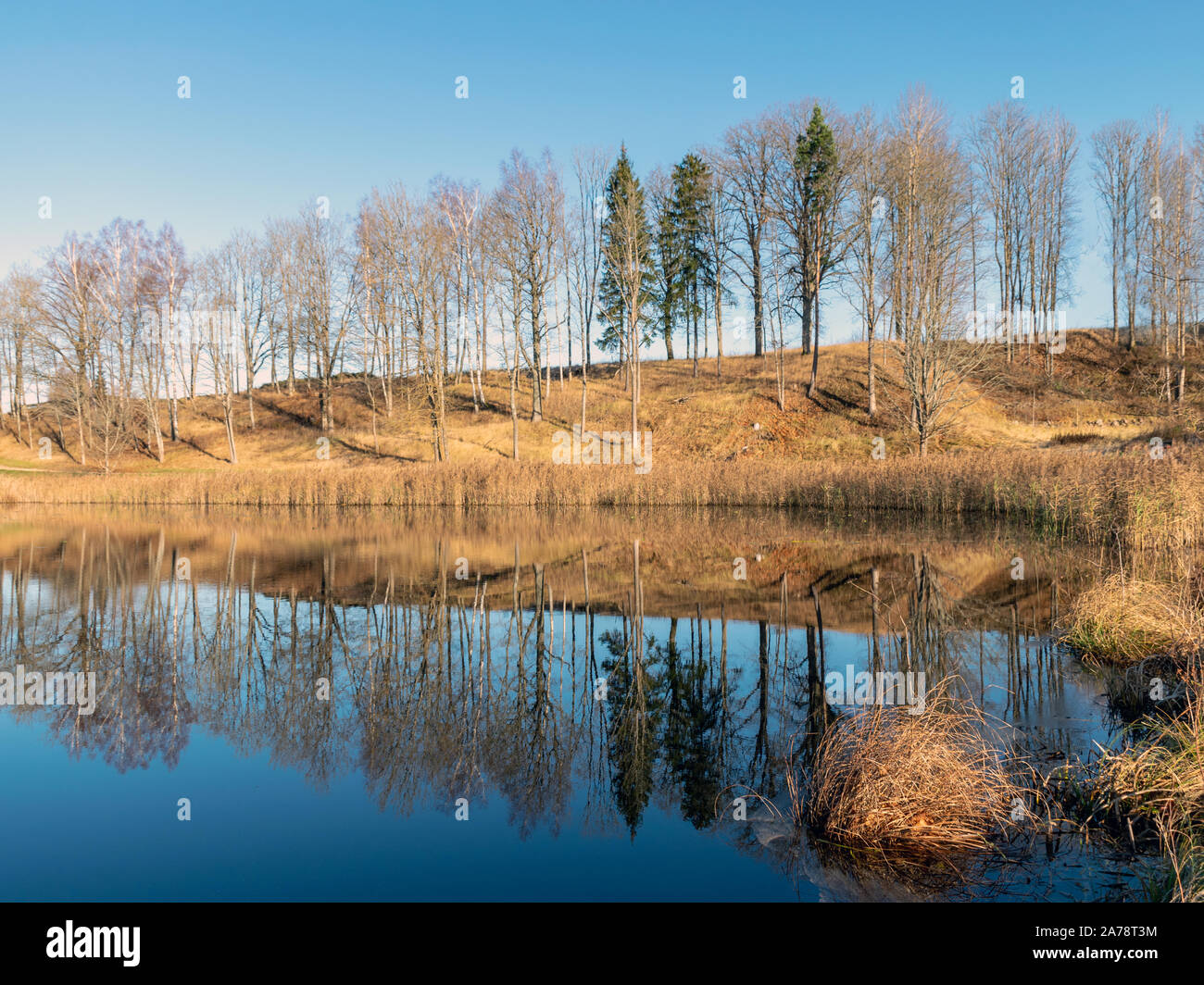 autumn landscape with colorful trees on the water's edge and wonderful ...