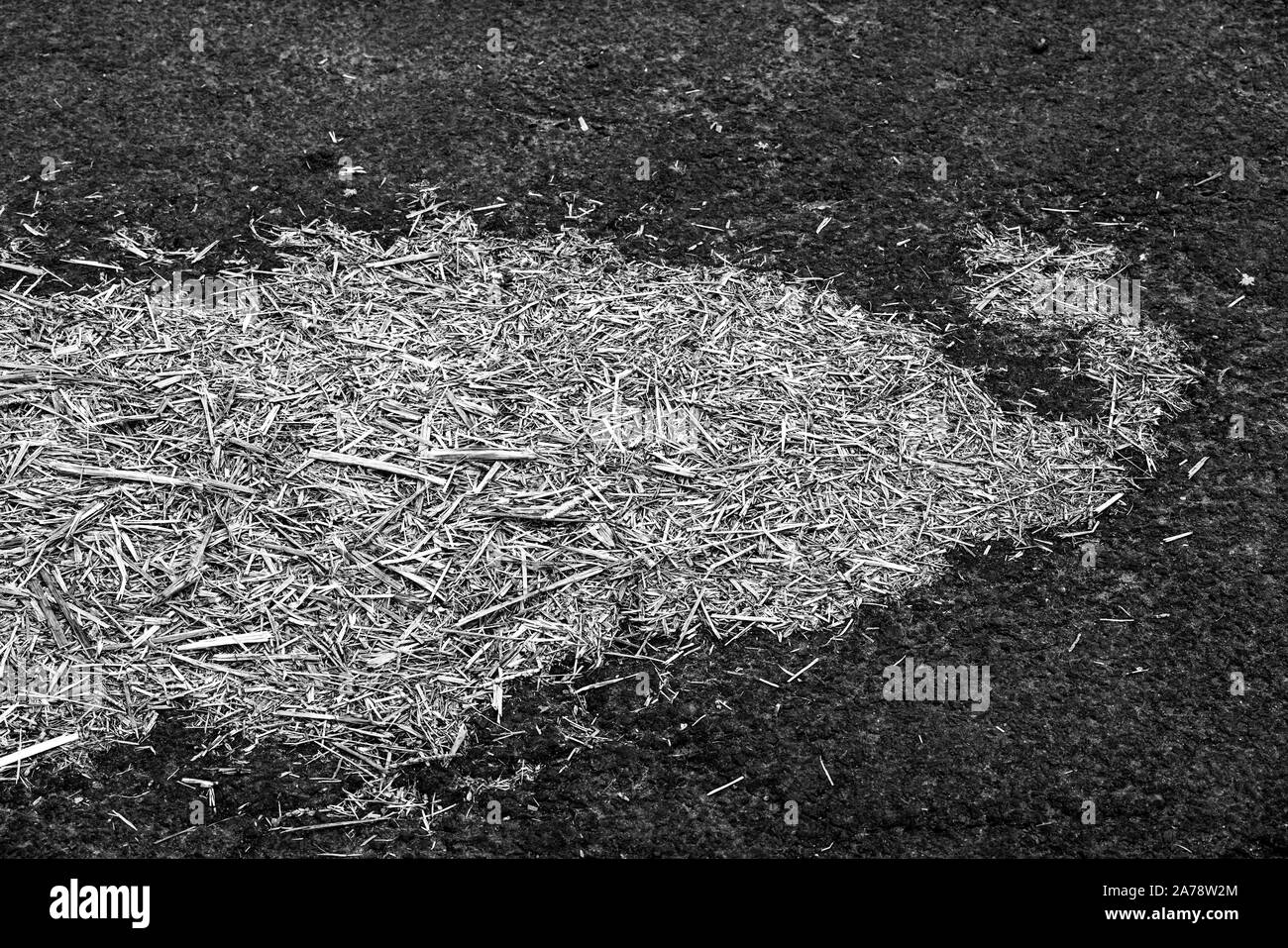 Pavement textures Black and White Stock Photos & Images - Alamy