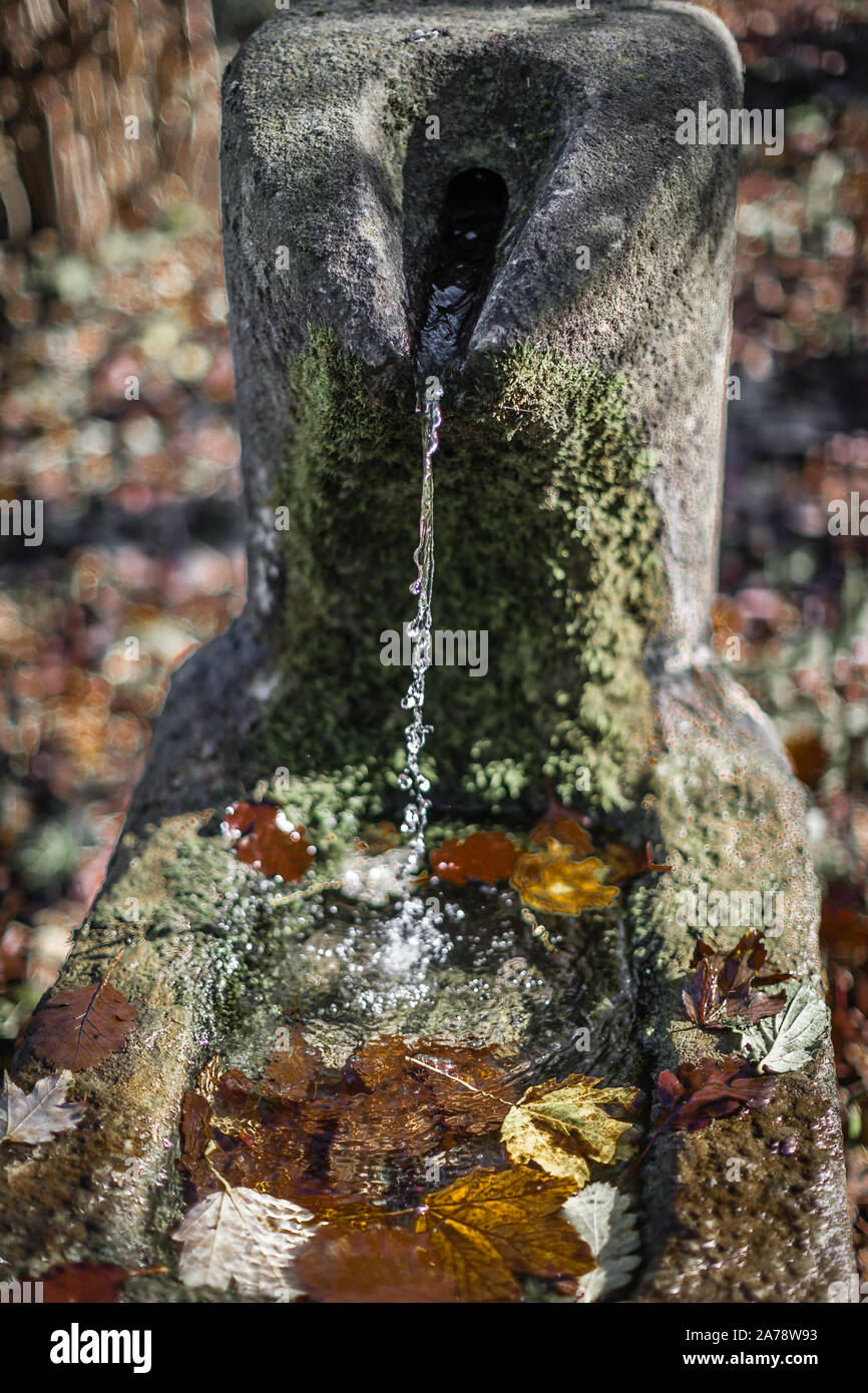 A wishing well in the middle of autumn in Germany Stock Photo - Alamy