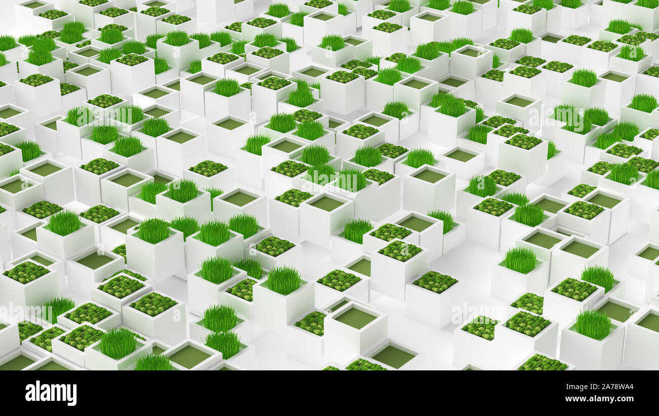 Plant green concept. 3d rendering, 3d illustration Stock Photo - Alamy