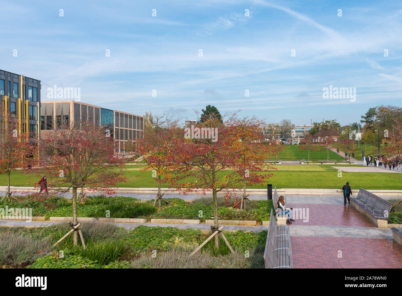 Green open spaces in the middle of the University of Birmingham campus ...