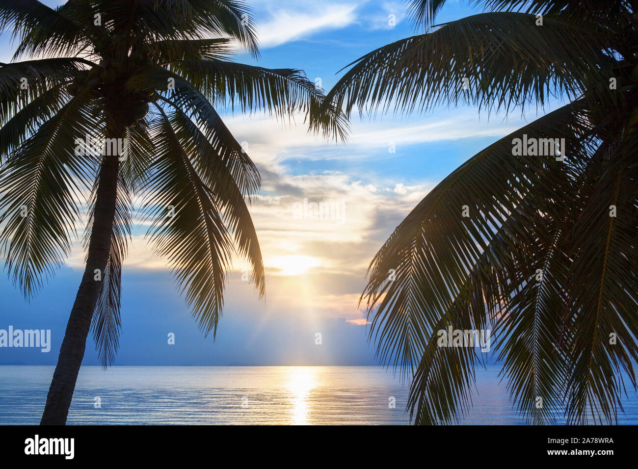 Tropical Sunrise Wallpaper