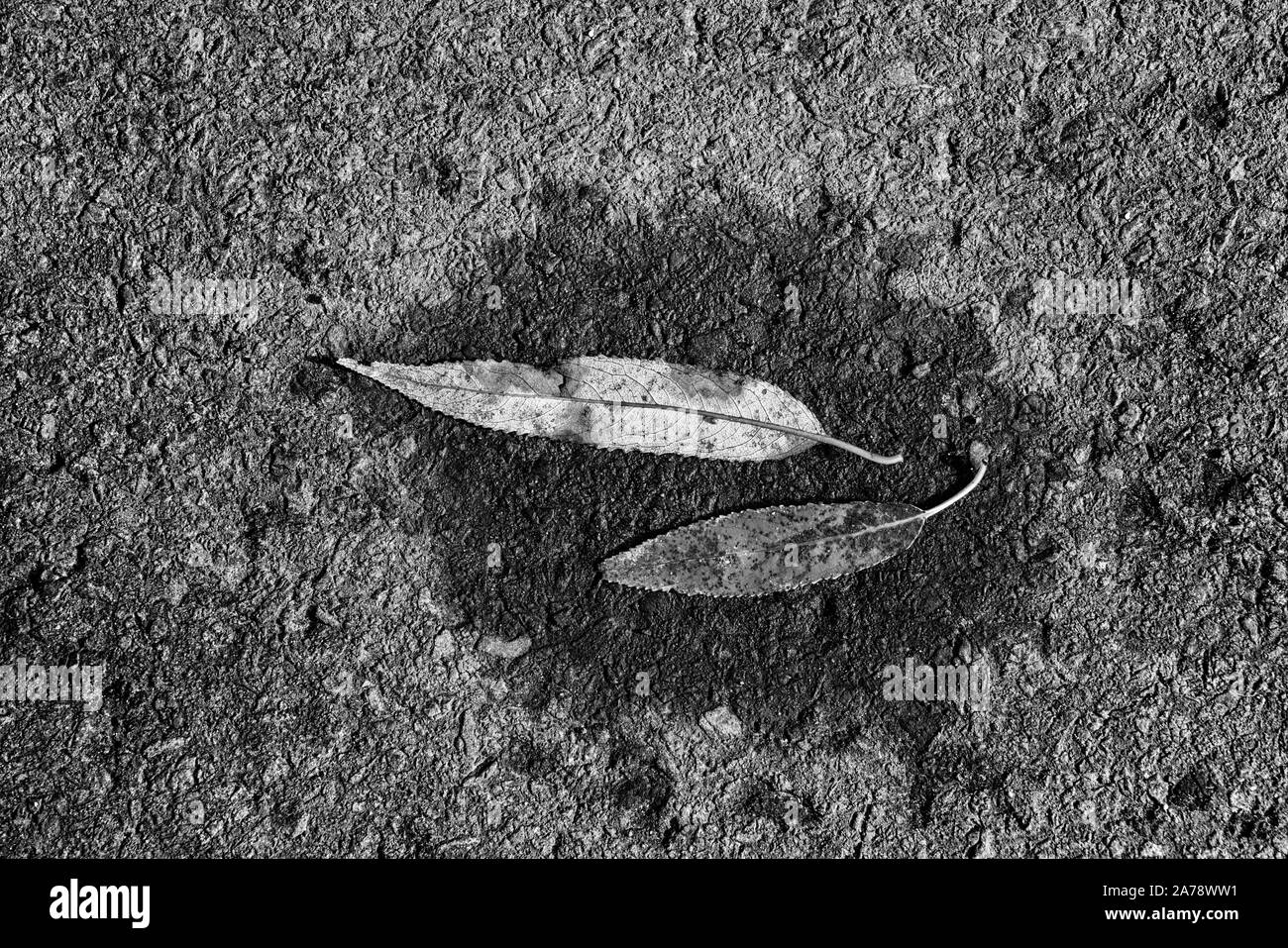 Pavement textures Black and White Stock Photos & Images - Alamy