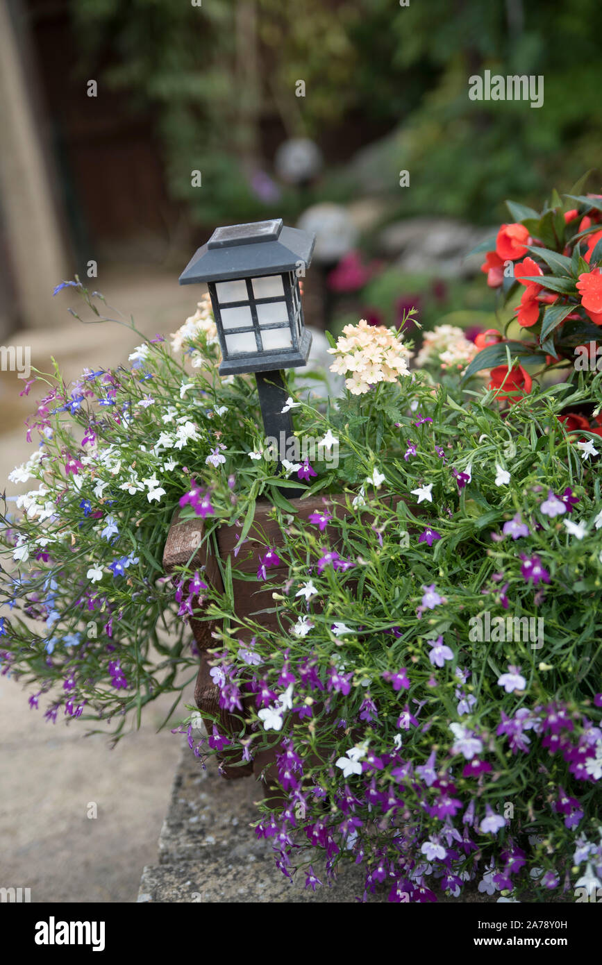 Typical English Garden Stock Photo - Alamy