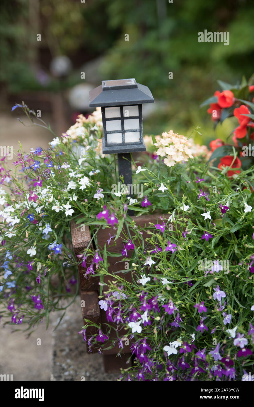 Typical English Garden Stock Photo - Alamy