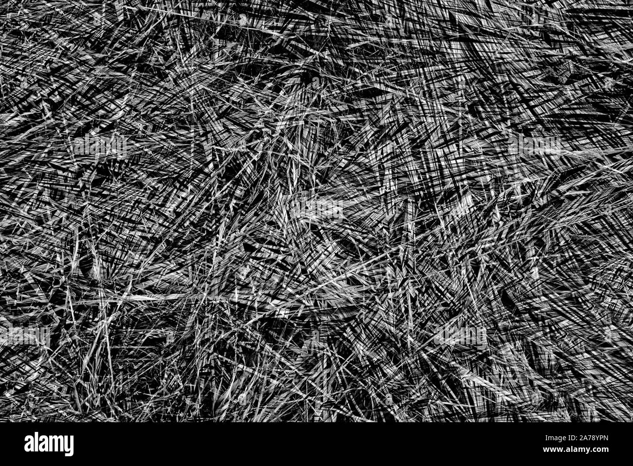 Straw texture hi-res stock photography and images - Alamy