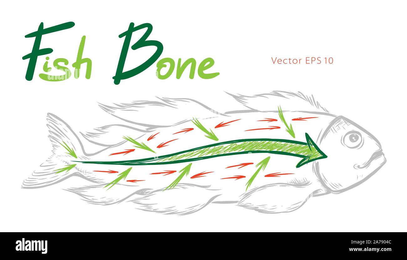 Ishikawa fishbone diagram detailed vector sketch illustration Stock ...