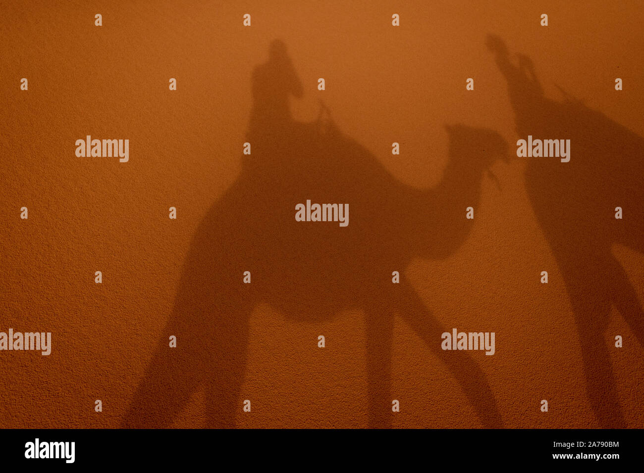 Camel shadow desert hi-res stock photography and images - Alamy