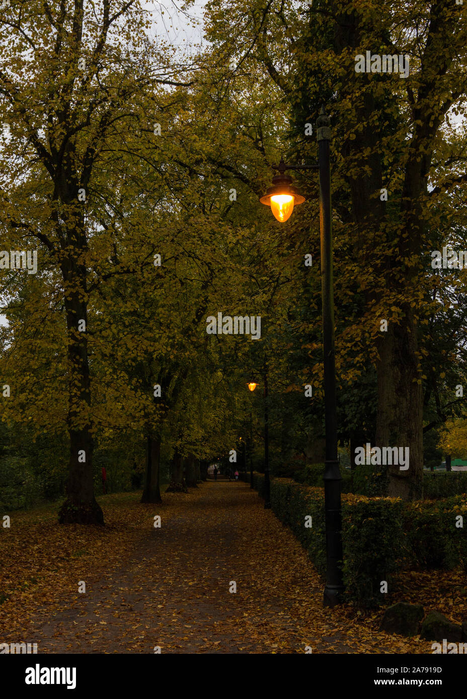 A lamp post lit pathway in Matlock Park during Autumn, Derbyshire UK ...