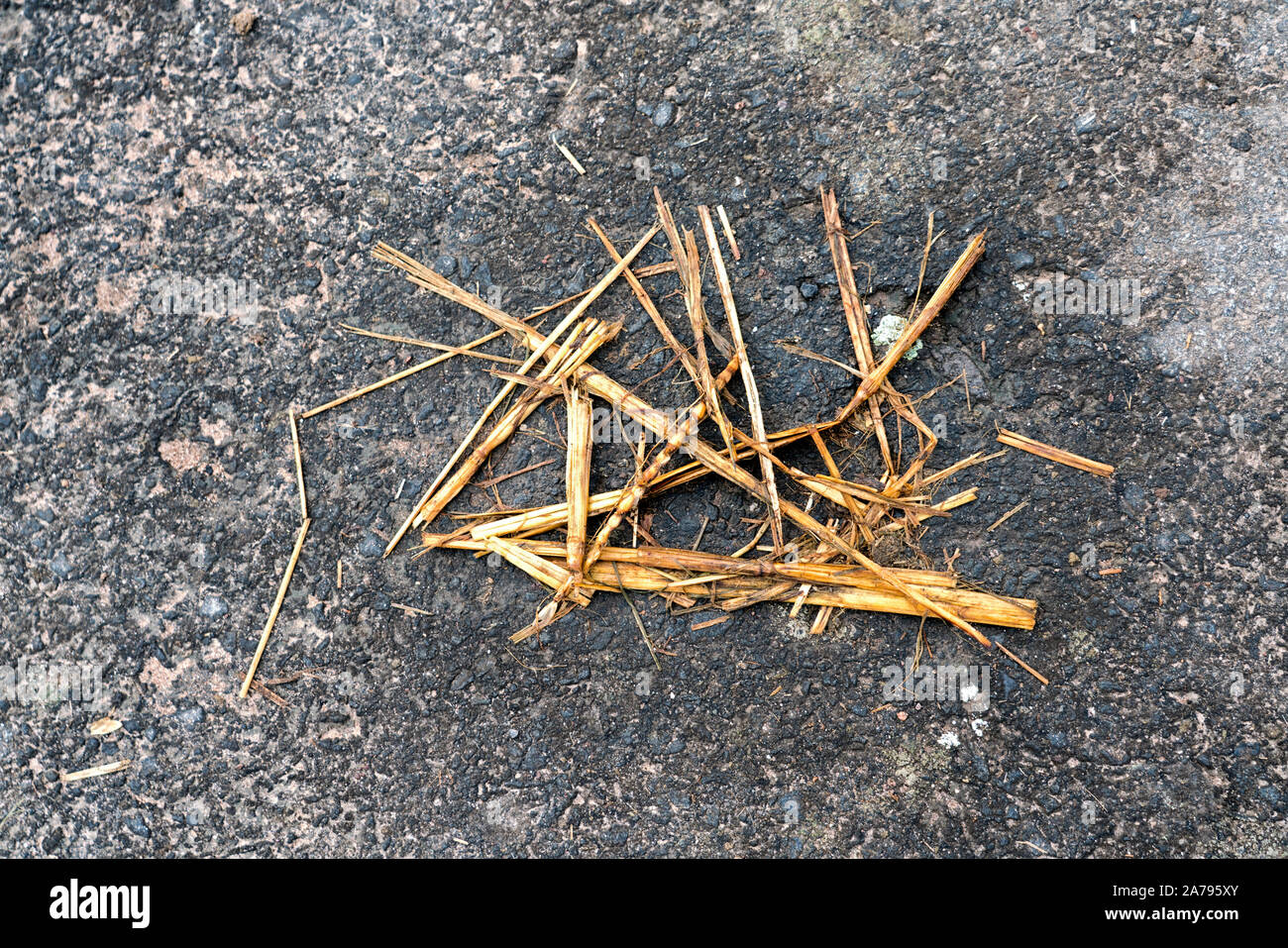 straw, old asphalt pavement Stock Photo - Alamy