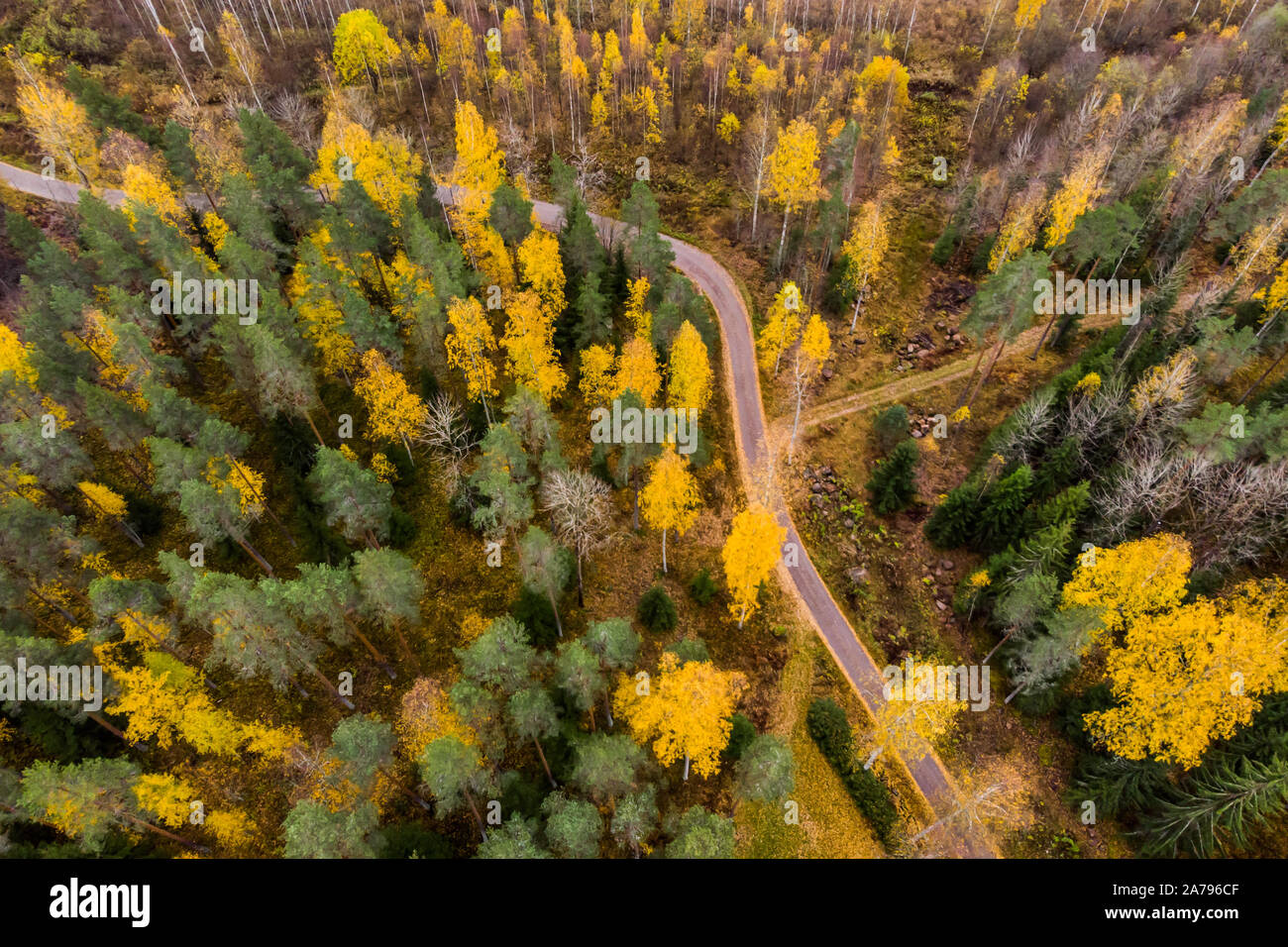 Aerial view of road and colorful forests on a autumn day in Finland ...