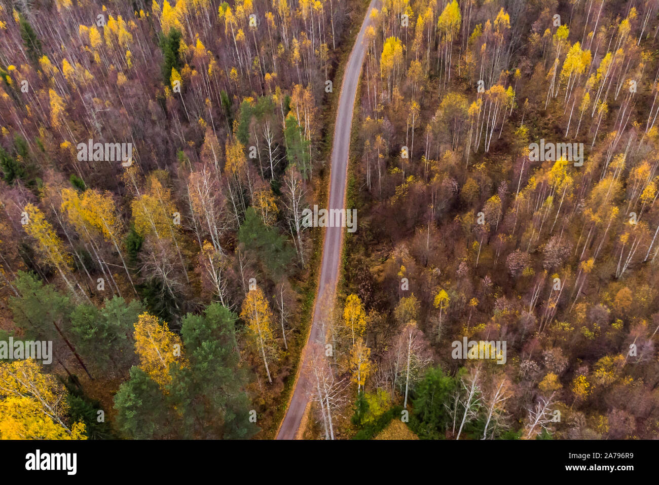 Aerial view of road and colorful forests on a autumn day in Finland ...