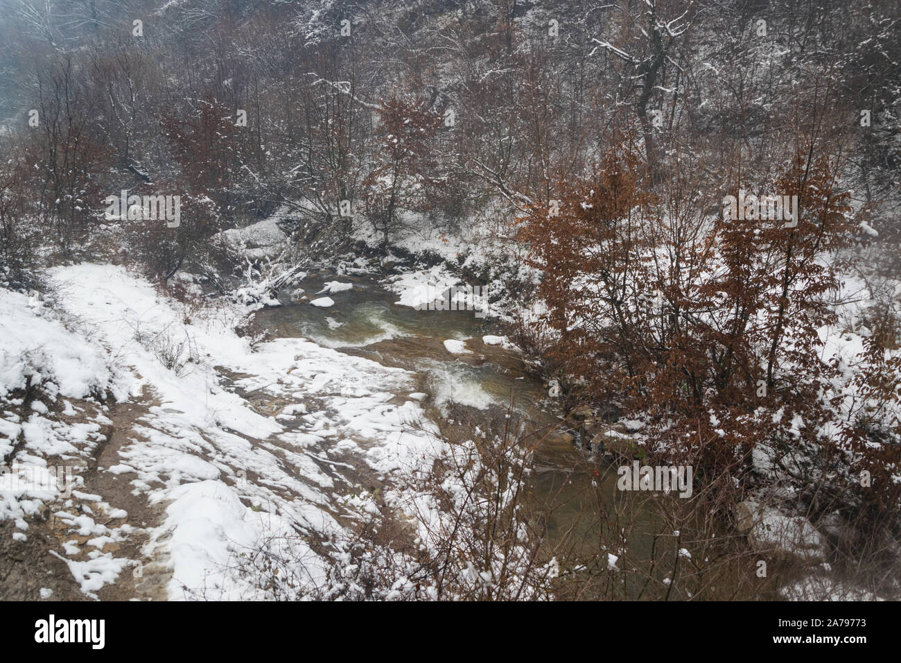 Winter landscape, mountain river in foggy and cold day with snow Stock ...