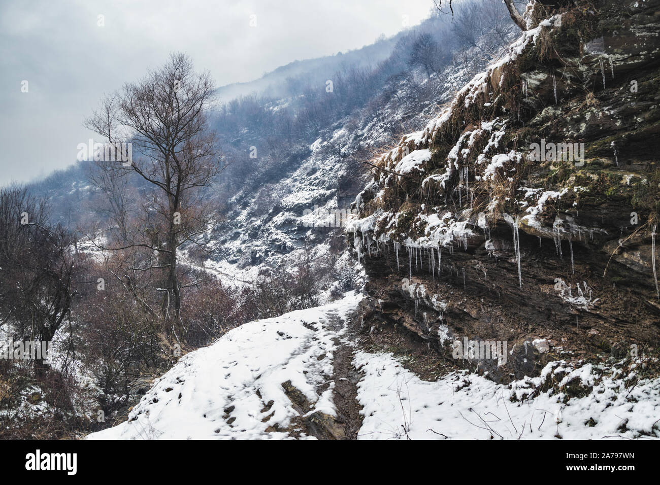 Winter landscape, mountain path in foggy and cold day with snow Stock ...