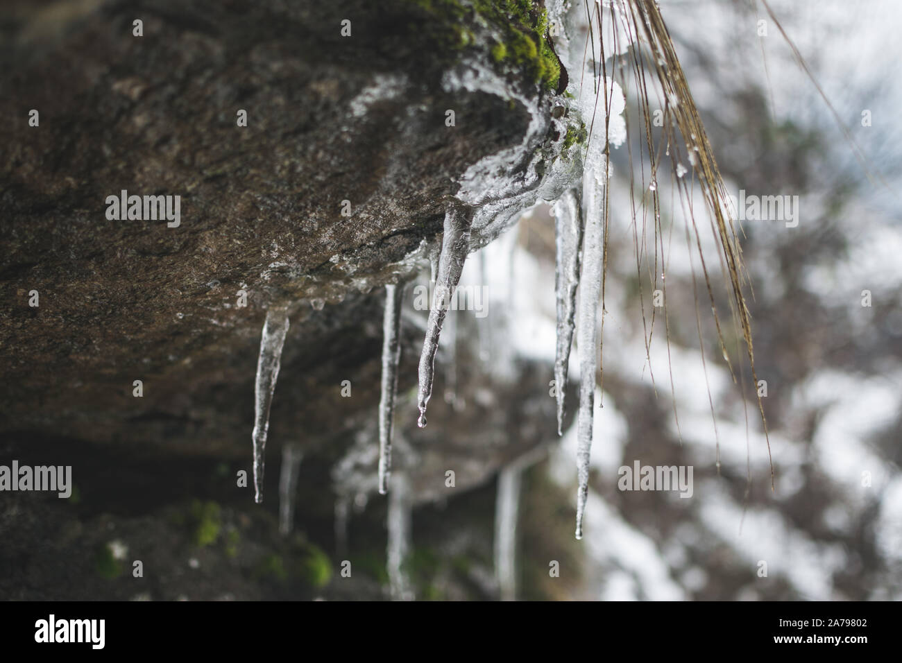 Icicle hanging from rock hi-res stock photography and images - Alamy