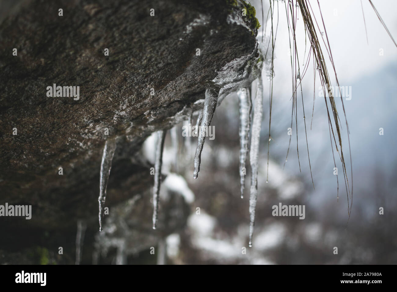 Winter icicles hanging from rock Stock Photo - Alamy