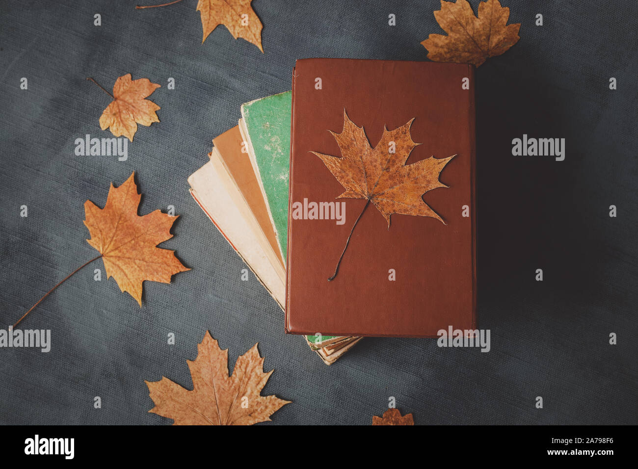 books, notebook, pencils for drawing with autumn leaves Stock Photo - Alamy