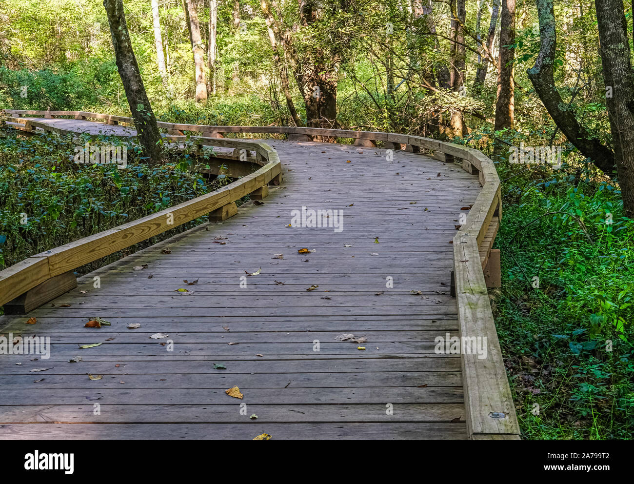 Curving Wood Plank Trail Stock Photo - Alamy
