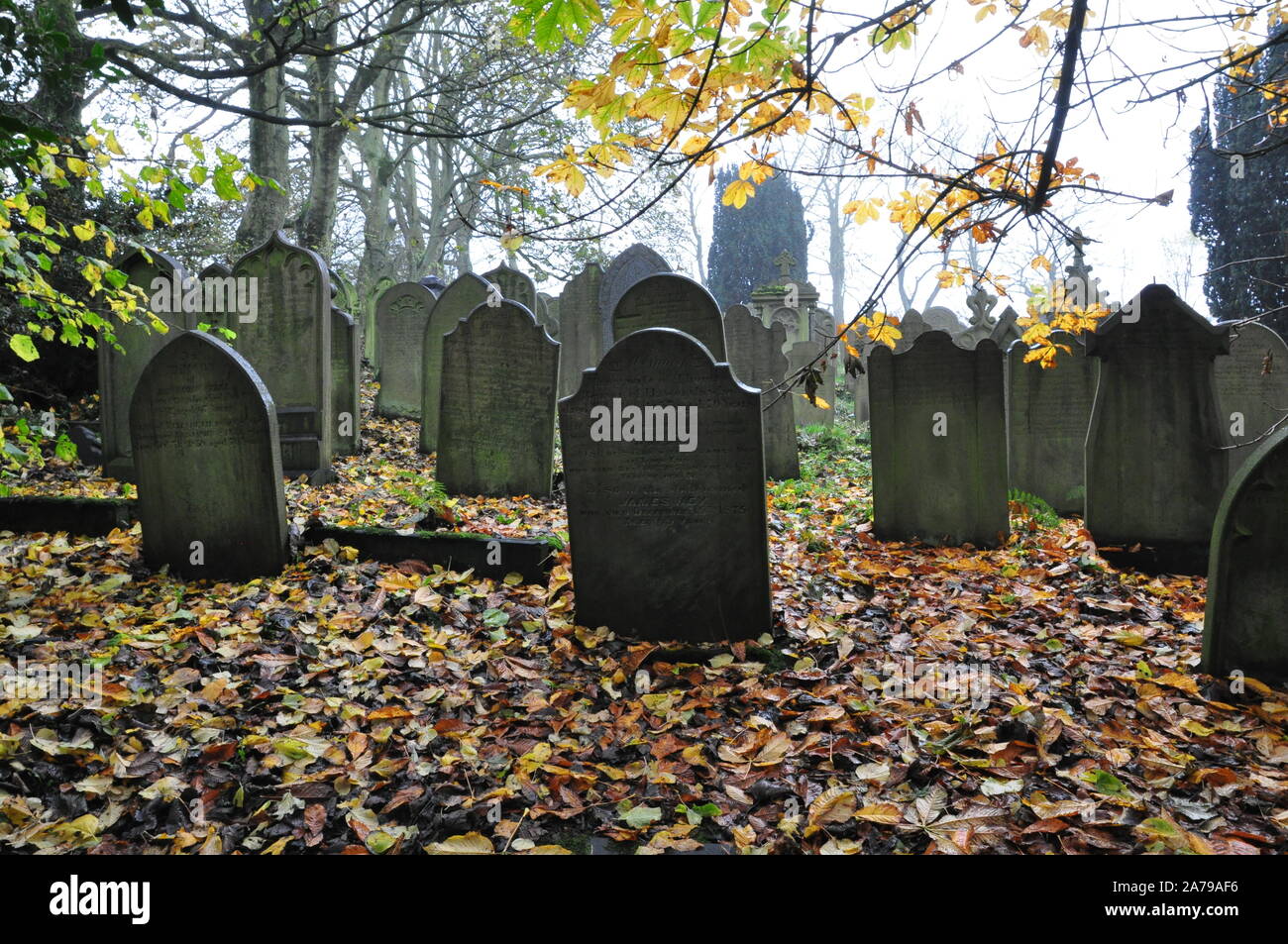 Autumn leaves in Haworth graveyard , Bronte country, Yorkshire Stock ...
