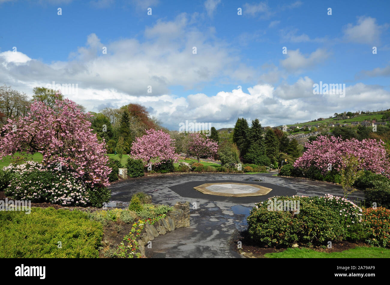 Tree blossom, Central Park, Haworth, Bronte country Stock Photo - Alamy