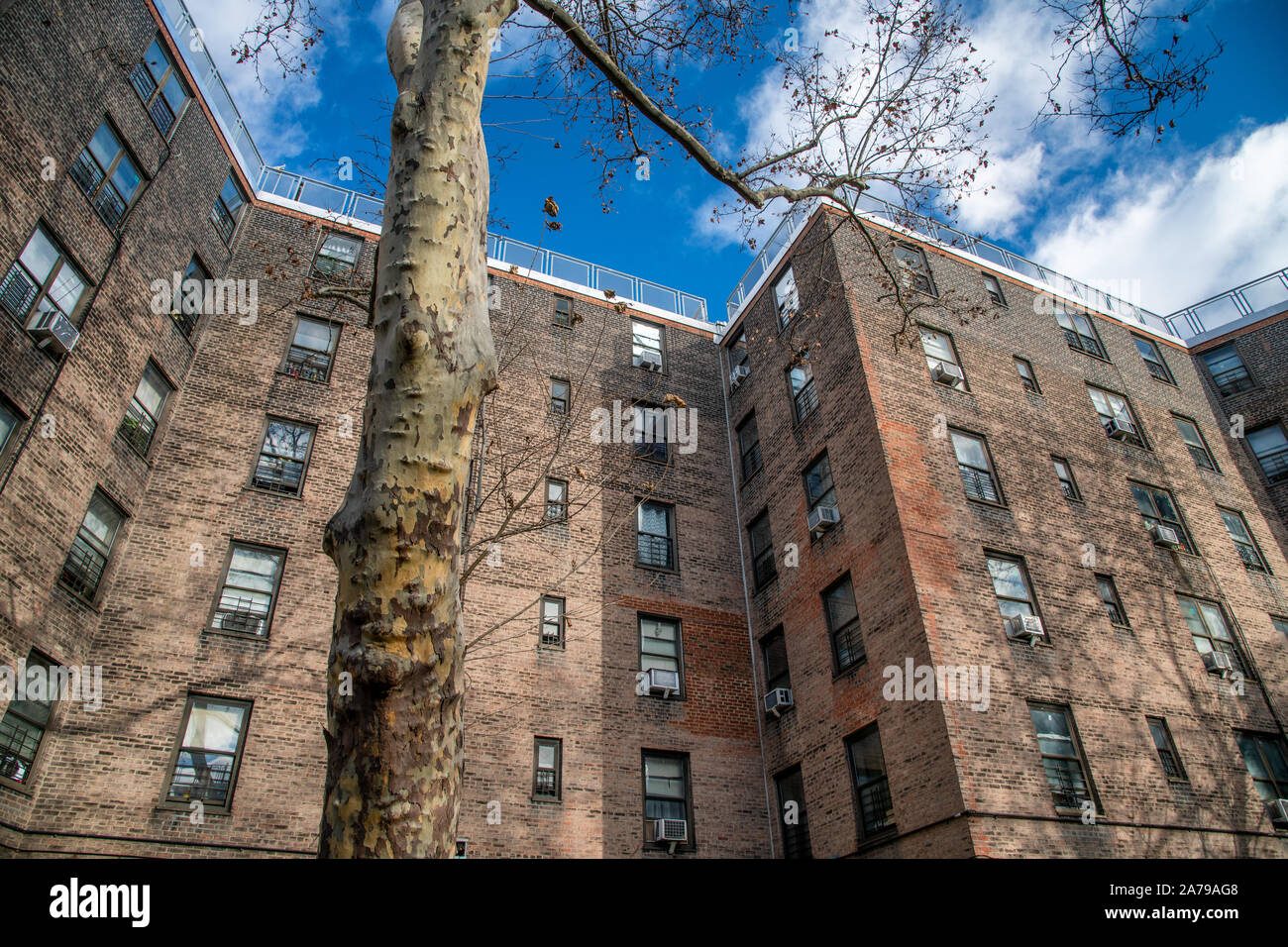 Queensbridge buildings new york hi-res stock photography and images - Alamy