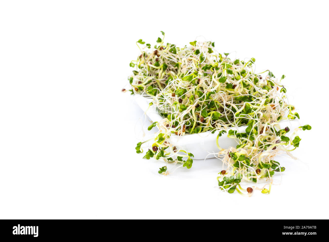 Fresh broccoli sprouts on white porcelain sauce dish isolated Stock ...