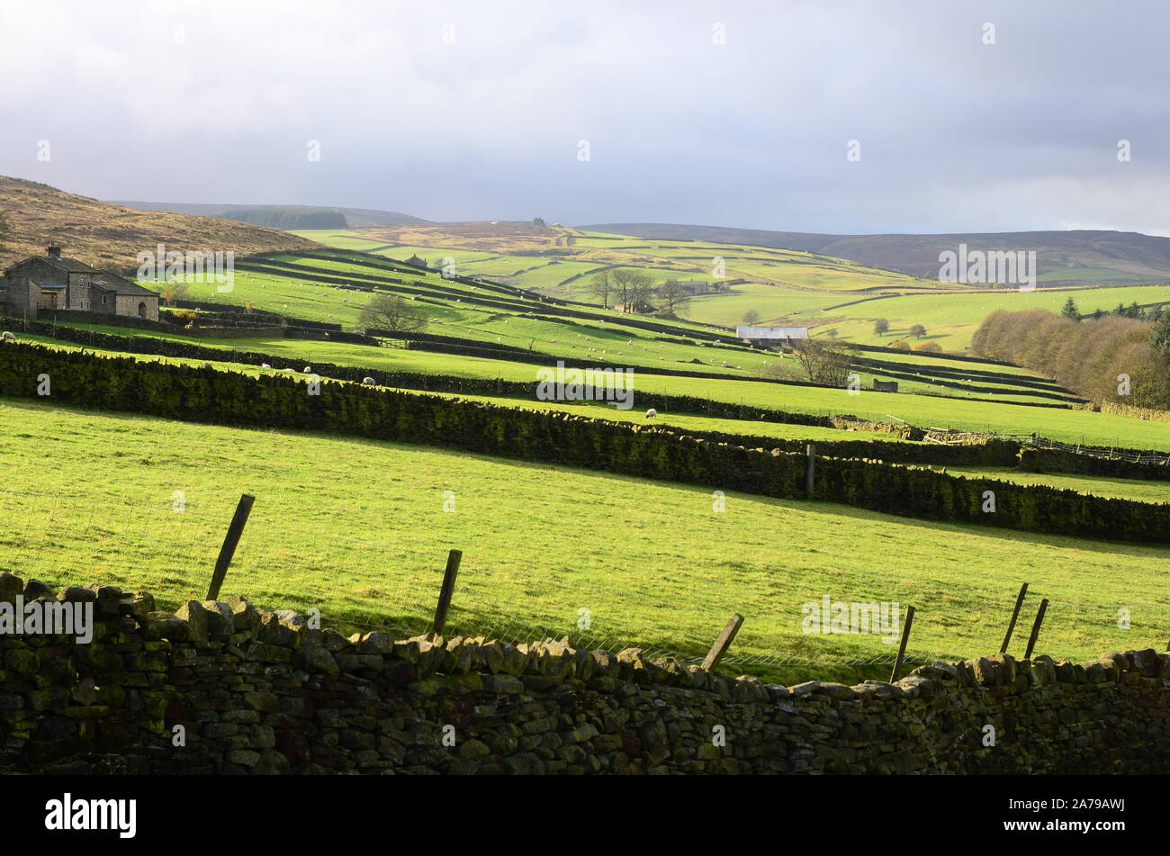 Autumn sunlight on Haworth Moor, Bronte country, Yorkshire Stock Photo ...