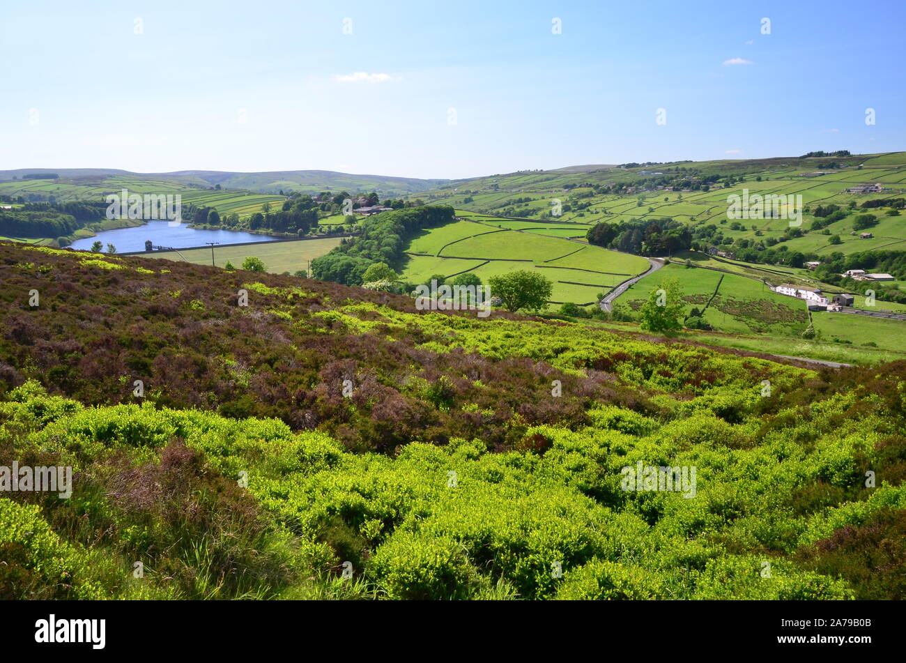 Bronte Country in early Summer, Haworth moor, Yorkshire Stock Photo - Alamy
