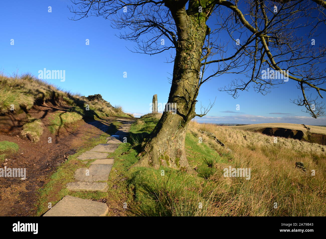 Bronte family tree hi-res stock photography and images - Alamy