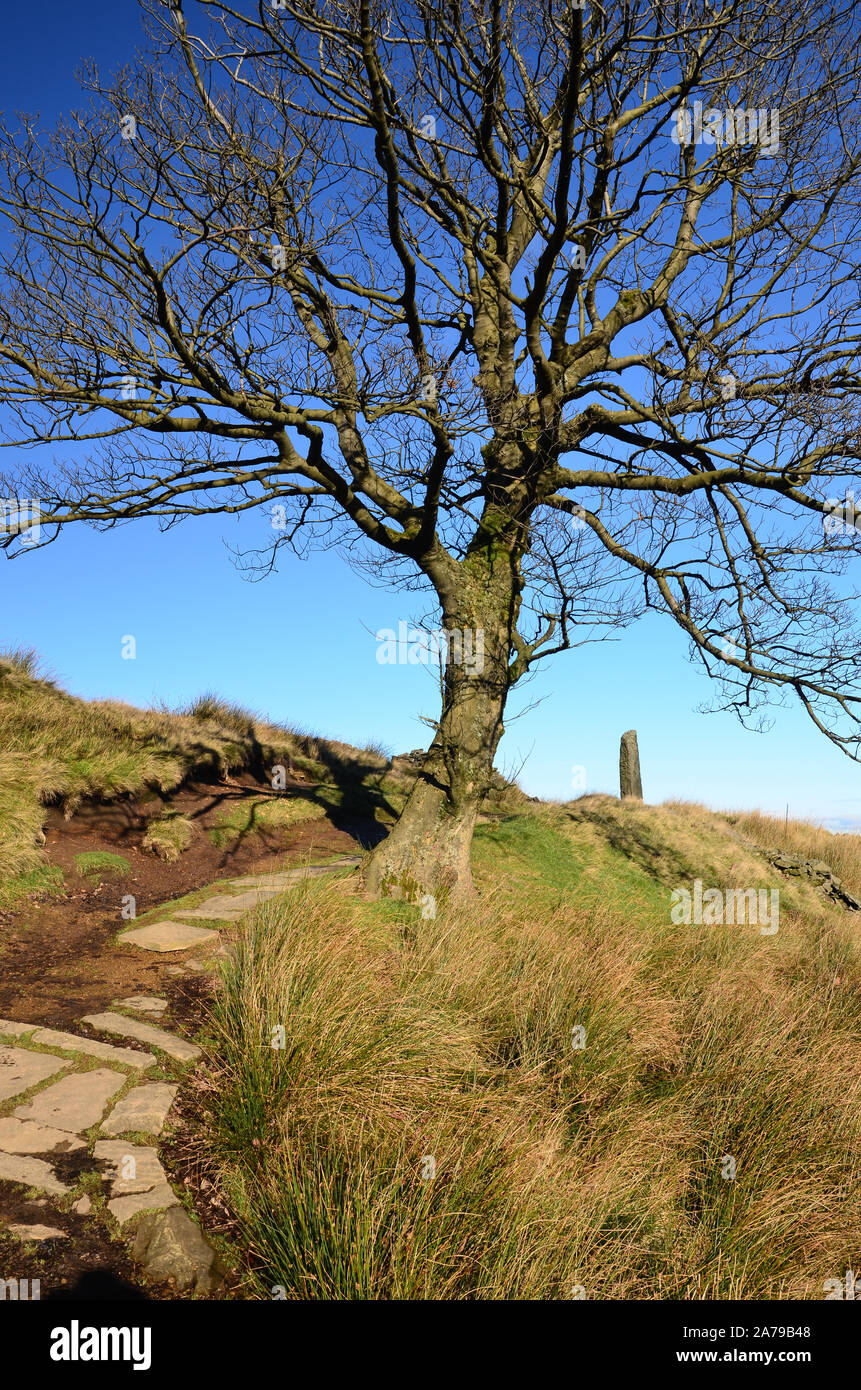 Bronte family tree hi-res stock photography and images - Alamy